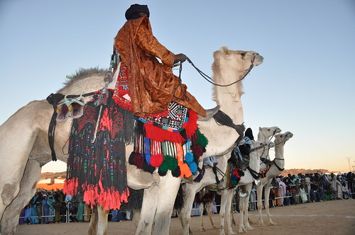 EgyptSearch Forums: Were the Tehenu, Tamahu, Libu ... Berbers?
