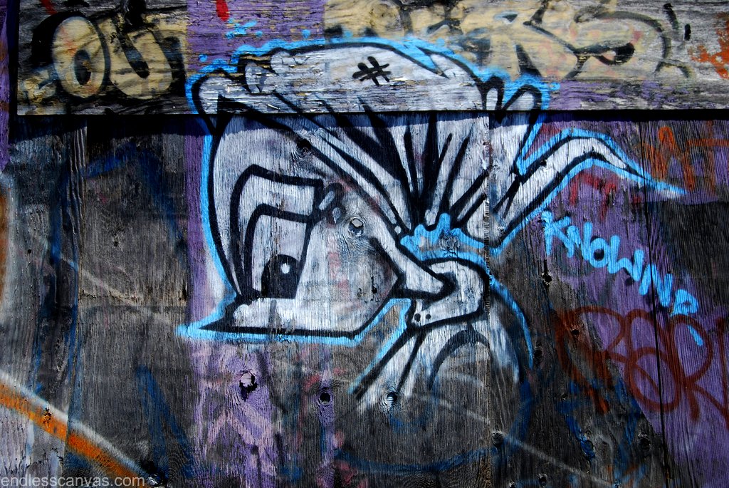 June « 2010 « Endless Canvas – Bay Area Graffiti and Street Art