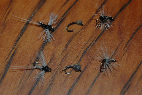 Trico Mayflies On The Gunpowder River | BACKWATER ANGLER