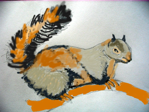 Squirrel – painted with Photoshop | Ulla Hennig's Weblog